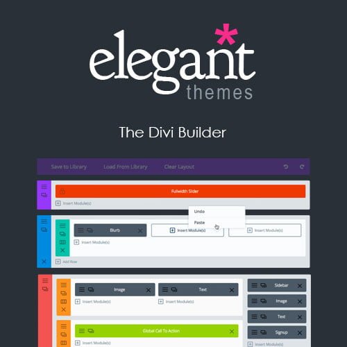 Elegant Themes The Divi Builder – Diginyt