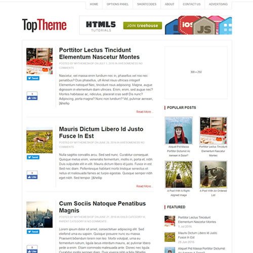 MyThemeShop Top WordPress Theme – Diginyt