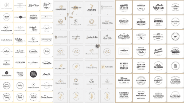 Premium Bundle – Diginyt